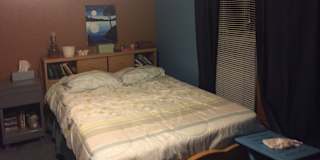 Roommates near me | Roomies.com