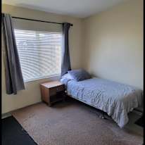 Reno, NV Rooms for Rent – Roomies.com