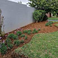 Triomf, Johannesburg, Gauteng LGBT+ or Gay rooms fo... – Roomies.co.za