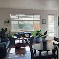 Santa Rosa, CA Rooms for Rent – Roomies.com
