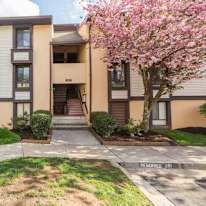 Reston, VA Rooms for Rent – Roomies.com