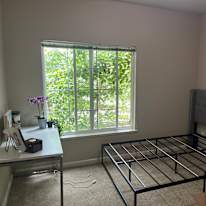 Santa Rosa, CA Rooms for Rent – Roomies.com