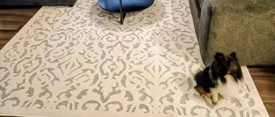 River Hills, Austin, TX Unfurnished rooms for rent – Roomies.com