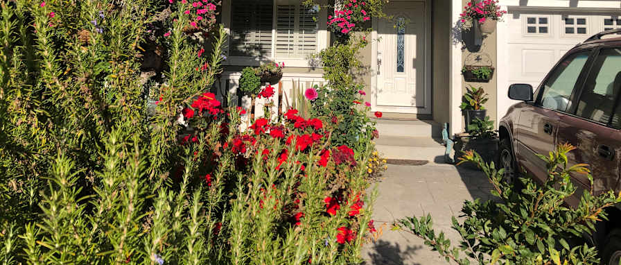 Santa Rosa, CA Roommates & rooms – Roomies.com