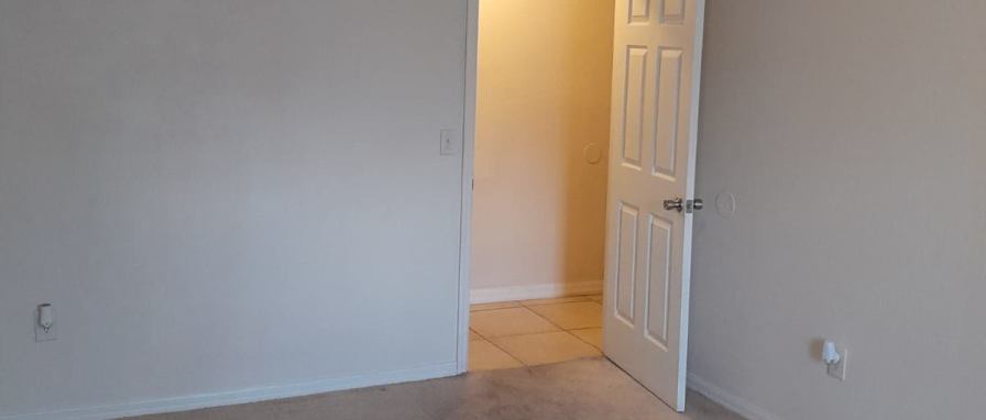Orlando, FL Rooms for Rent – Roomies.com