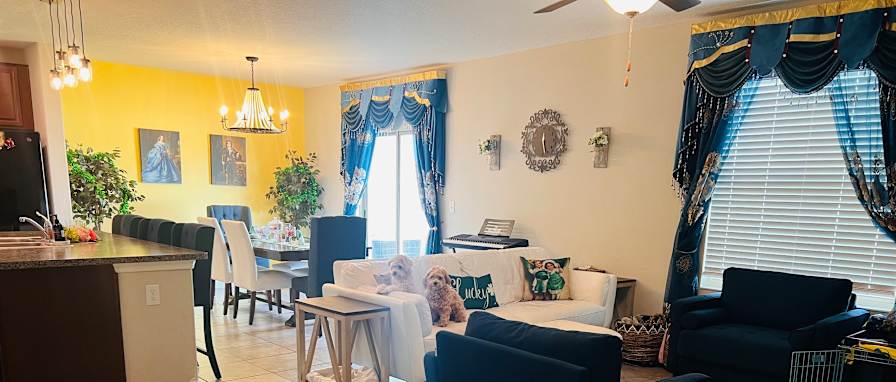 Tampa, FL Rooms for Rent – Roomies.com