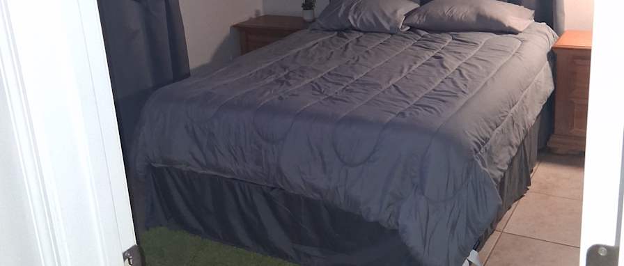 Sarasota, FL Rooms for Rent – Roomies.com