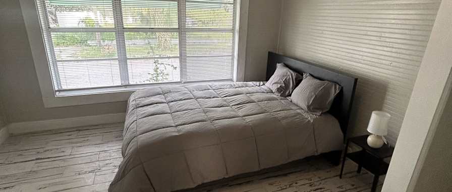 Tampa, FL Rooms for Rent – Roomies.com