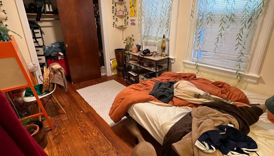 Private room to rent in share house | Forest Street,... – Roomies.com