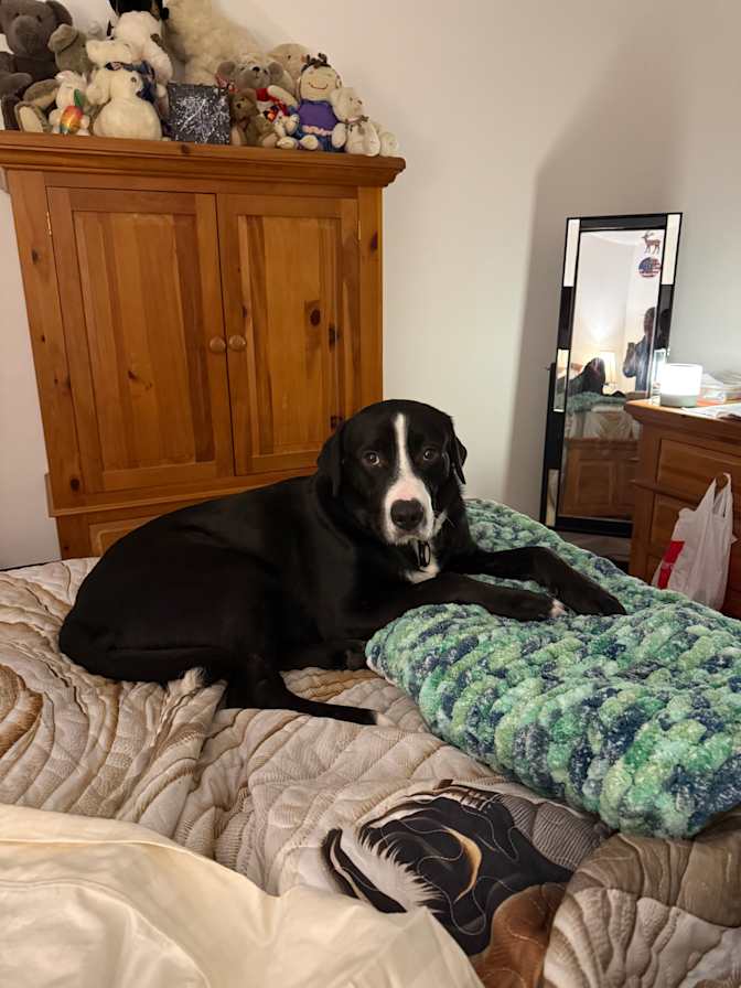 Furnished room in a house | Highland Park, Barboursvi... – Roomies.com