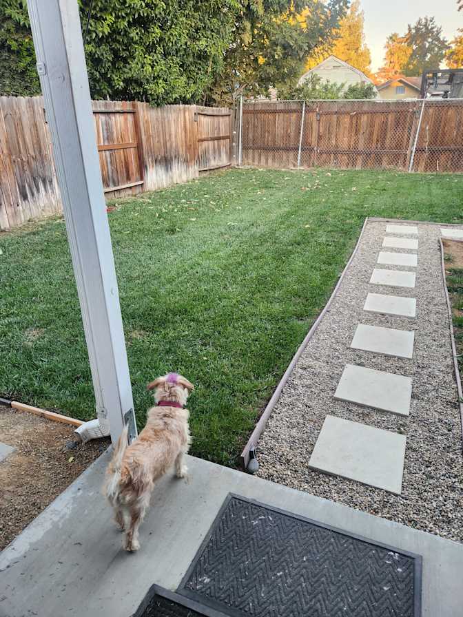 Private room to rent in share house | Reseda, Califor... – Roomies.com