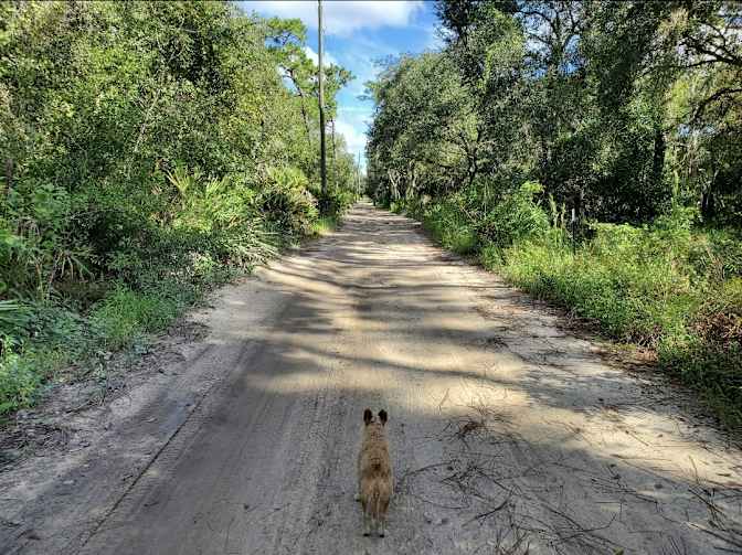 Unfurnished trailer | Pretty Lake Road, Clermont, Flo... – Roomies.com