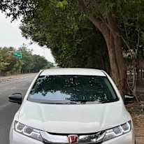 With cat housemates in Anna Nagar West Exte, Chenna... – Roomies.co.in